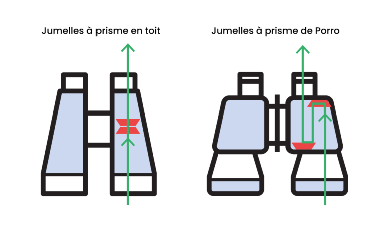 Guide pour Choisir vos Jumelles Idéales | Iriss Optic
